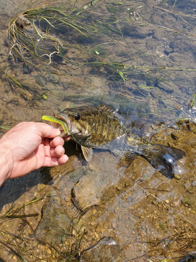 Smallmouth Bass Shore Fishing On The Milwaukee River - Everything ...